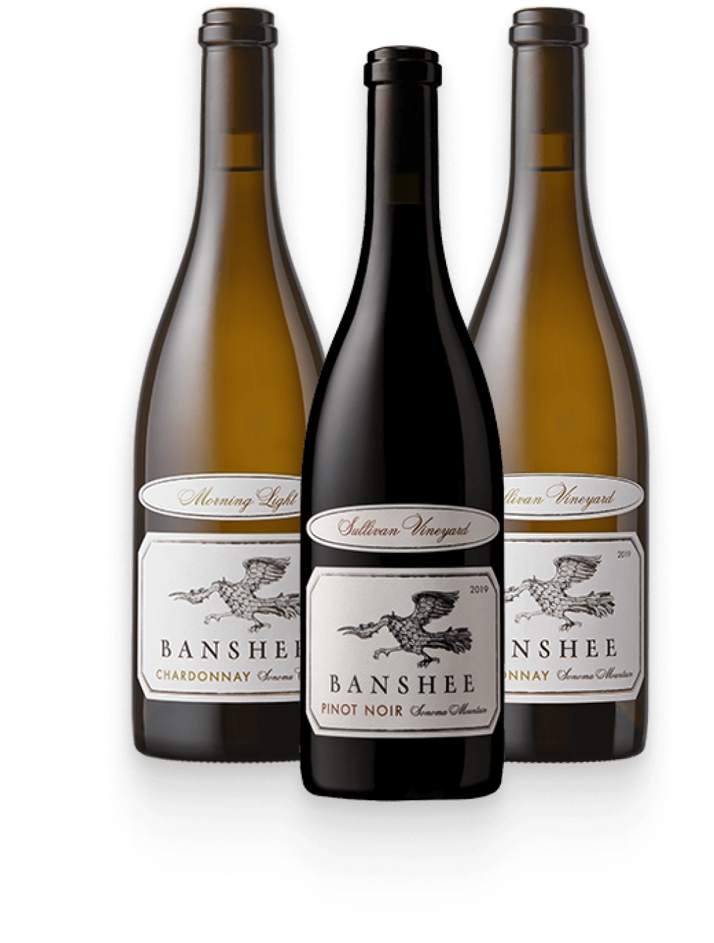 2024 Banshee Complicated Pinot Noir